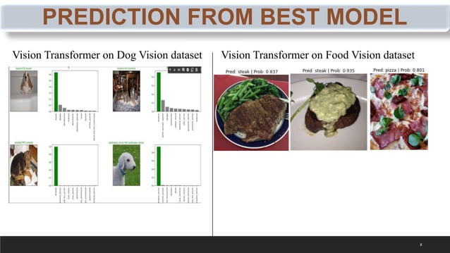 Enhancing Vision Models for Fine-Grained Classification | PPT