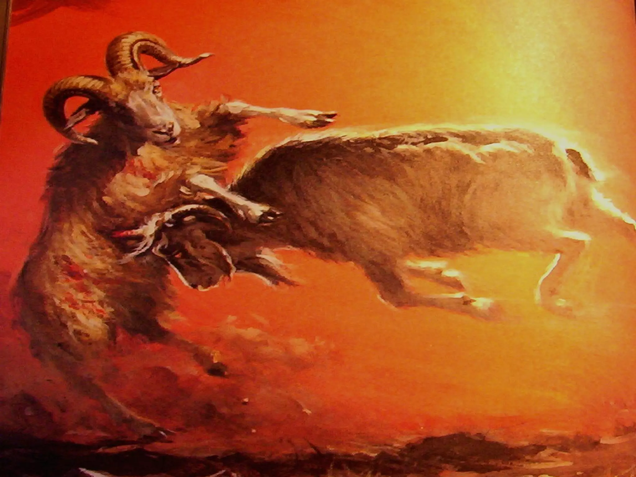 The Vision of Daniel 8 | PPT