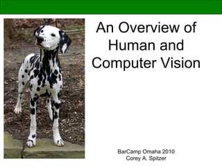Overview of Human and Computer Vision | PPT