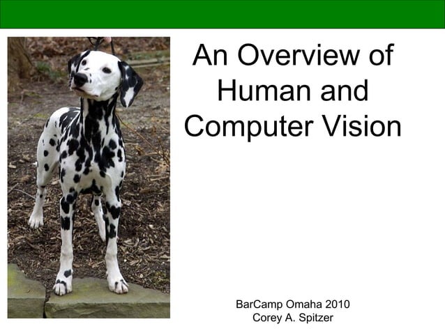 Overview of Human and Computer Vision | PPT