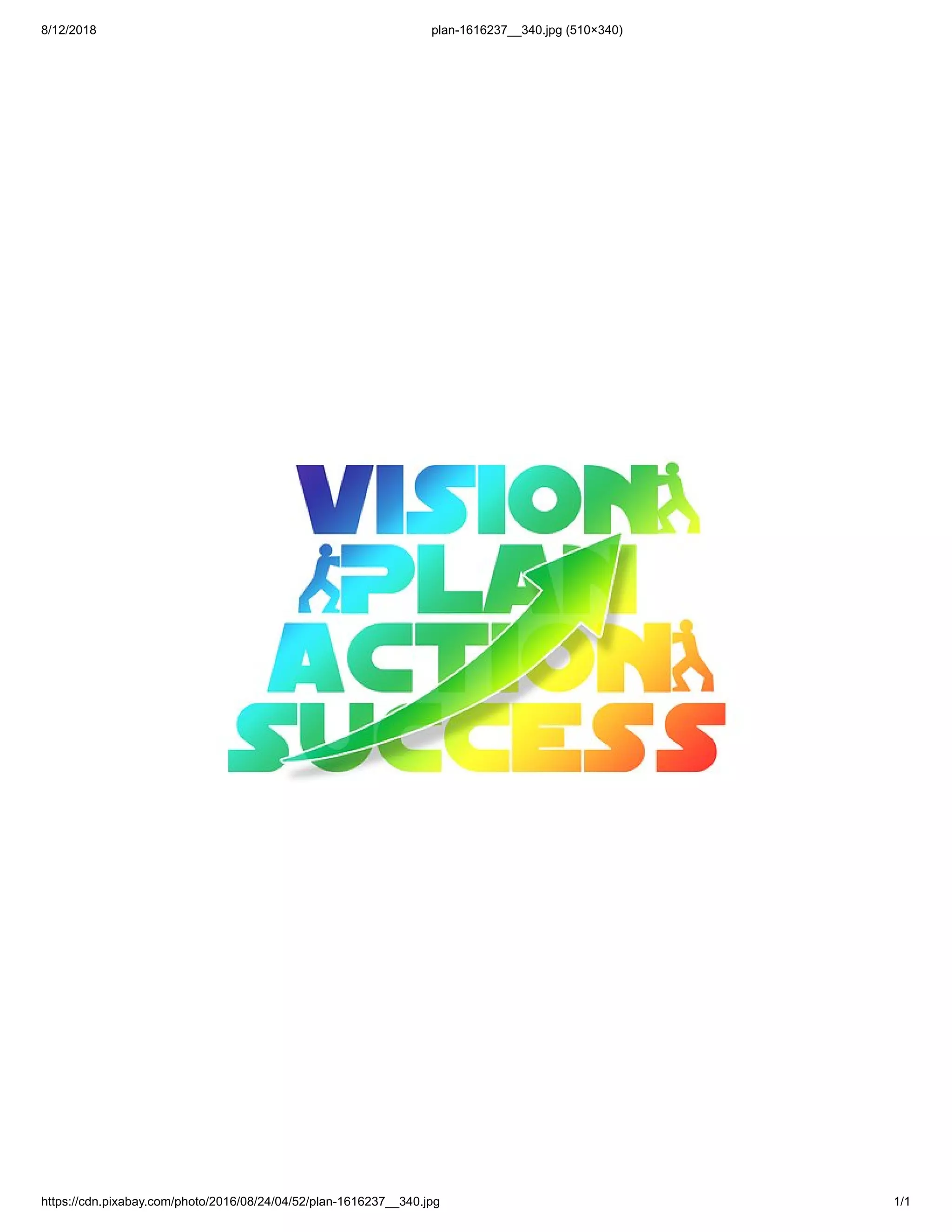 Vision, plan, action, success | PDF