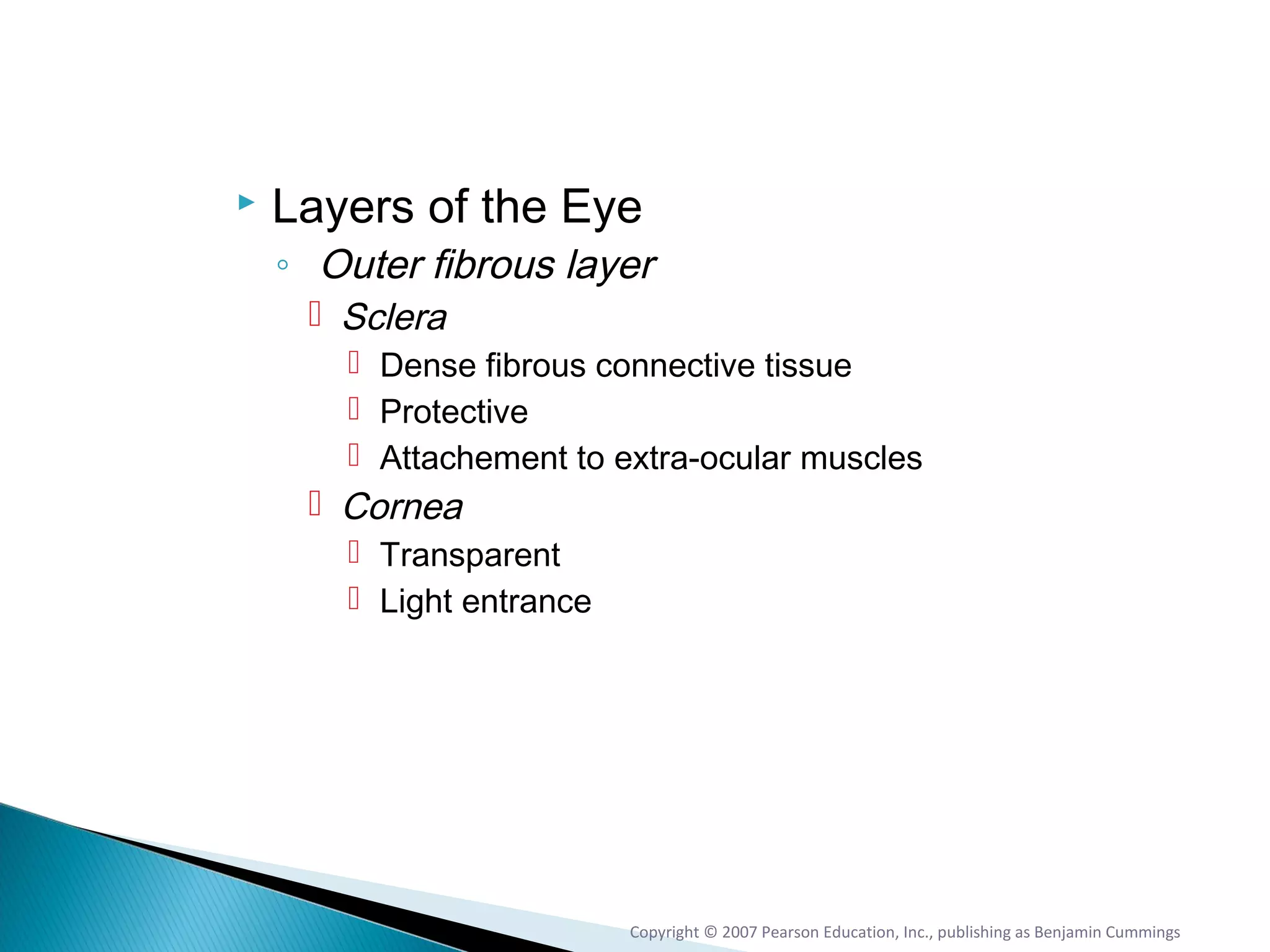 physiology of vision | PPT