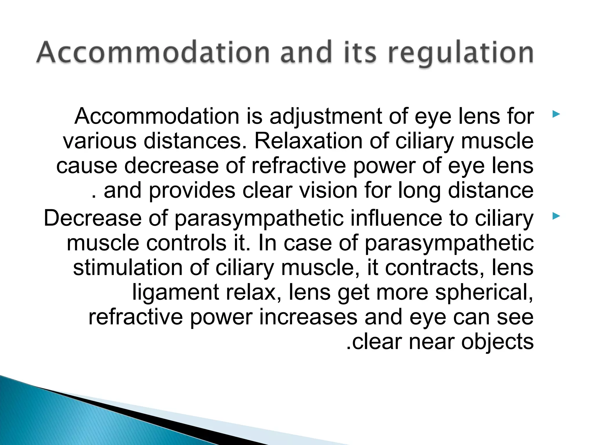 physiology of vision | PPT