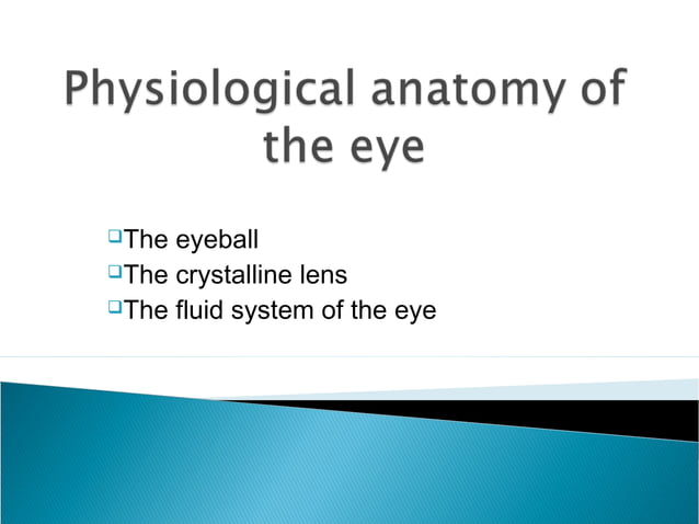 physiology of vision | PPT | Eye and Vision Conditions | Diseases and Conditions