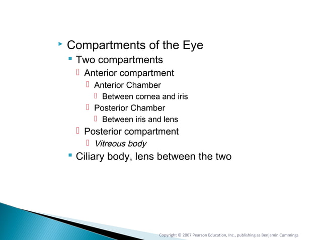 physiology of vision | PPT | Eye and Vision Conditions | Diseases and Conditions