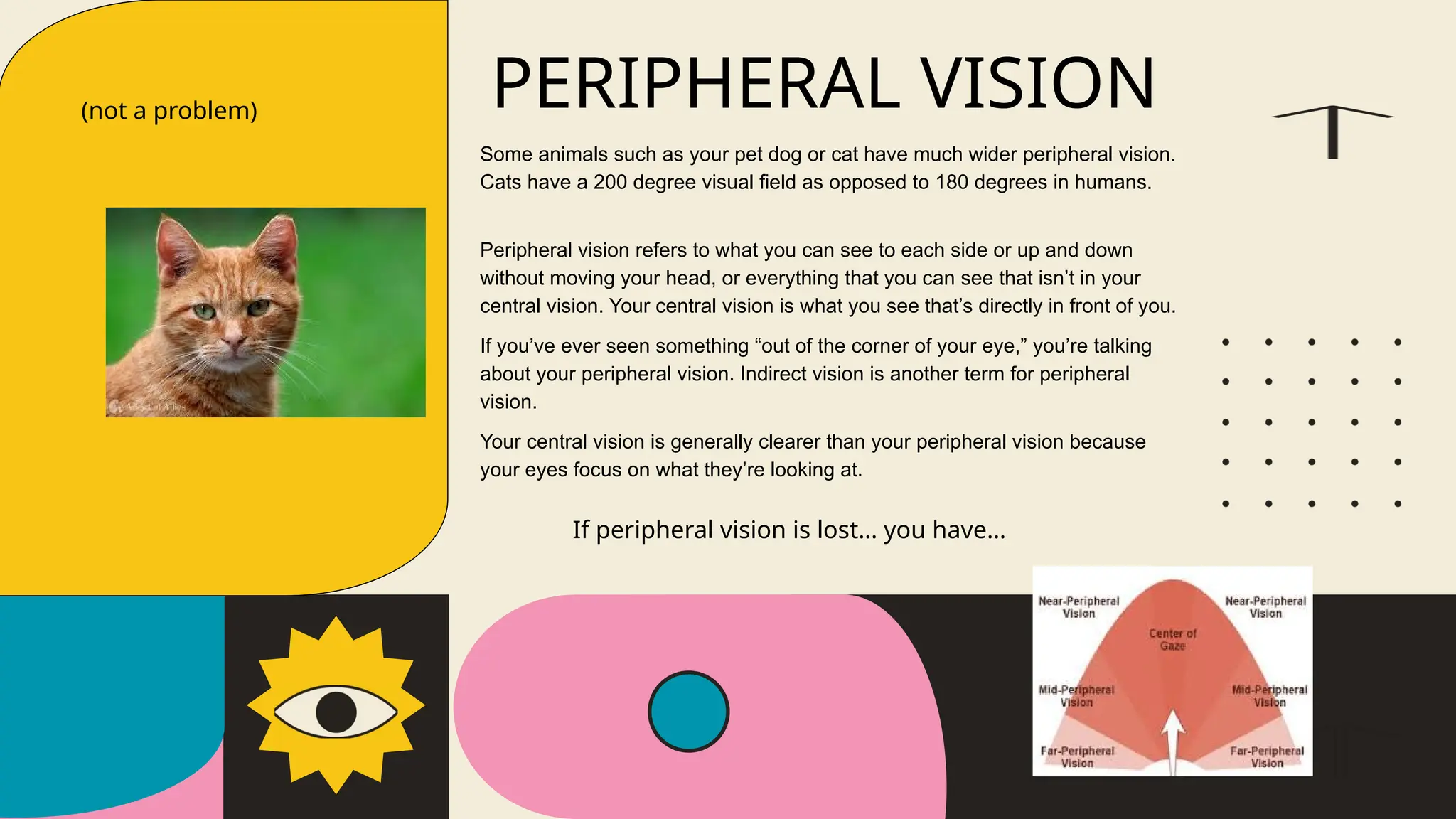 Vision Problems To learn about and teach .pptx | Free Download