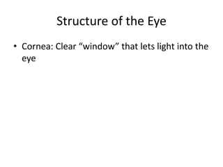 Vision projects | PPTX