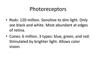 Vision projects | PPTX