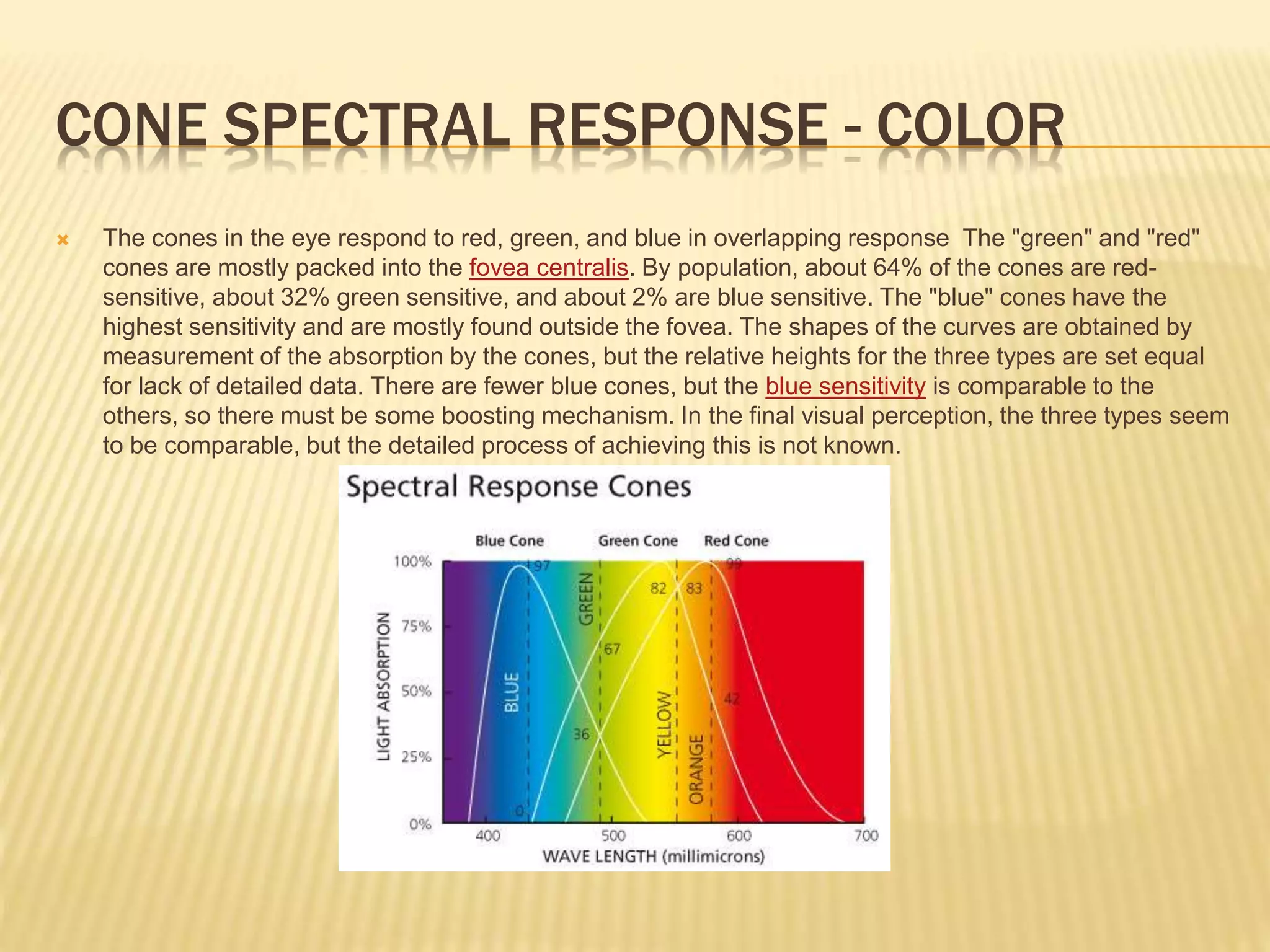Vision Session - The Basics | PPTX