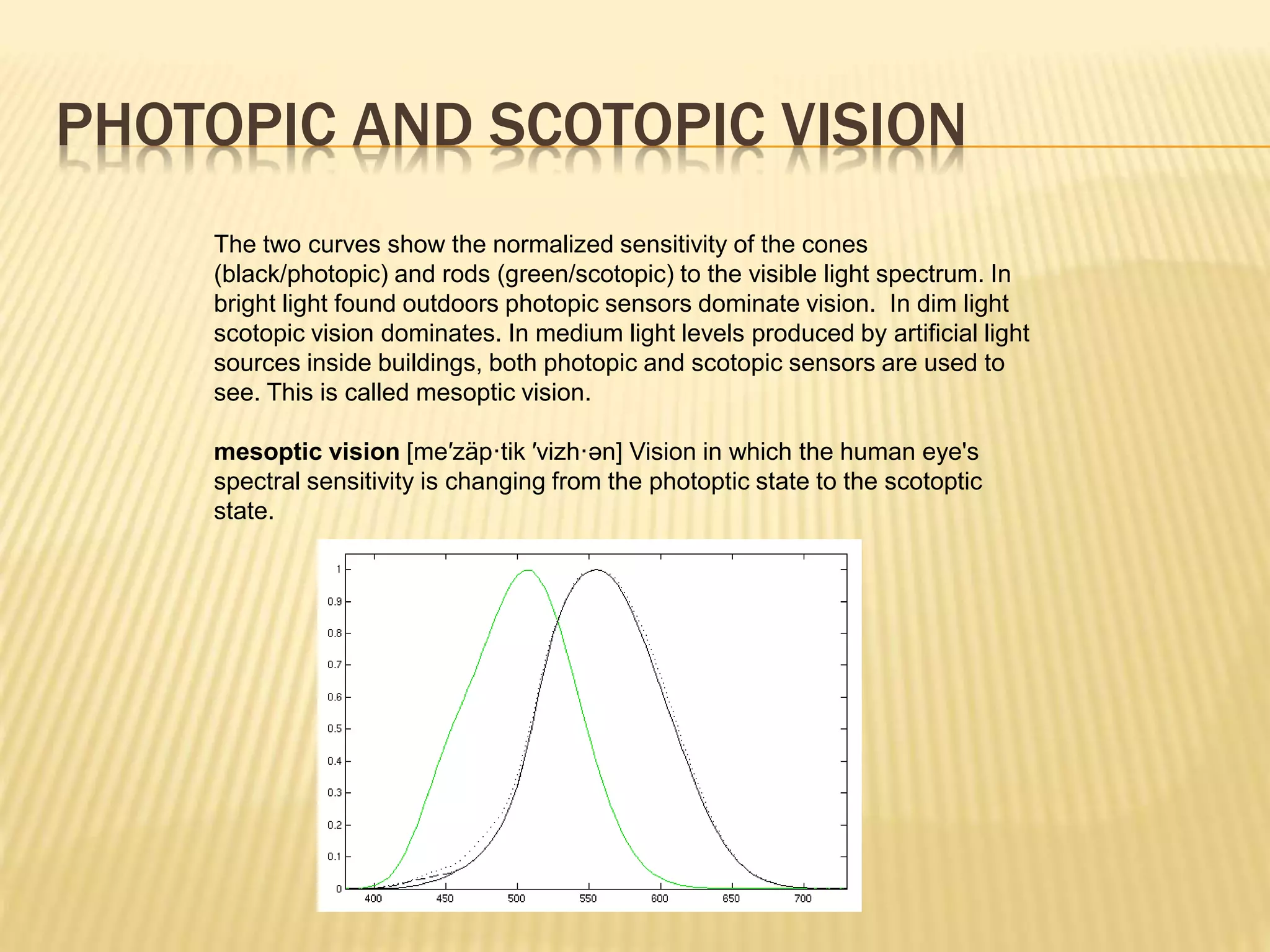 Vision Session - The Basics | PPTX