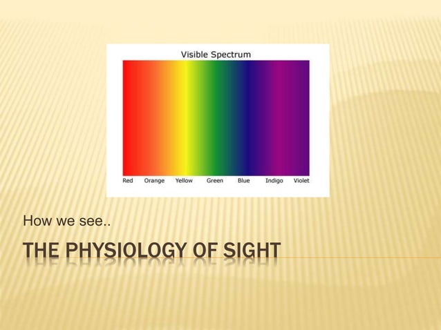 Vision Session - The Basics | PPTX