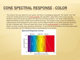 Vision Session - The Basics | PPTX