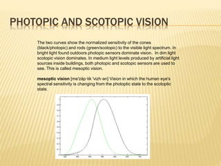 Vision Session - The Basics | PPTX