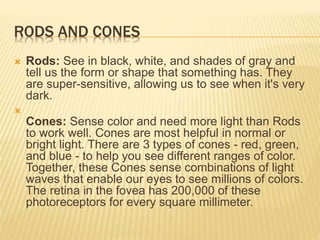 Vision Session - The Basics | PPTX