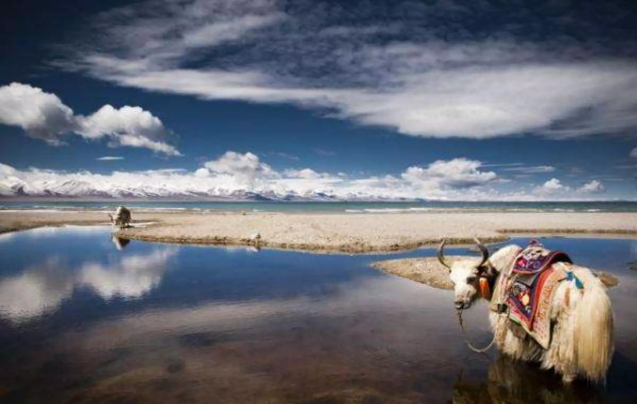 Visions of Earth 2015, from National Geographic | PPSX