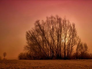 Visions of Earth IV from National Geographic | PPSX