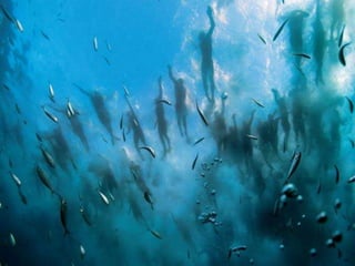 Visions of Earth IV from National Geographic | PPSX