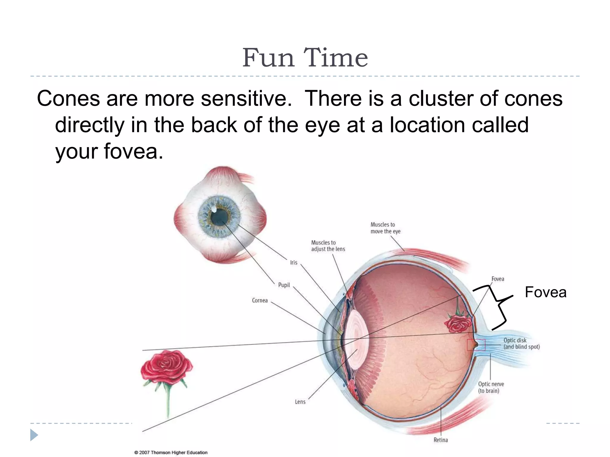 Vision topics examples | PPTX | Eye and Vision Conditions | Diseases ...