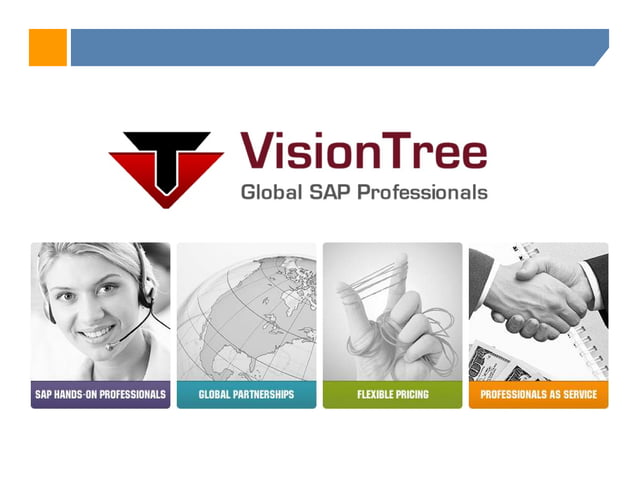 VisionTree Corporate Qualifications | PPT | Free Download