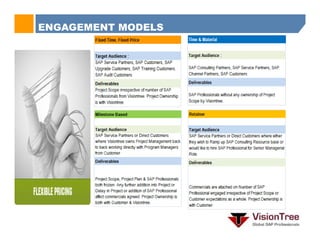 VisionTree Corporate Qualifications | PPT
