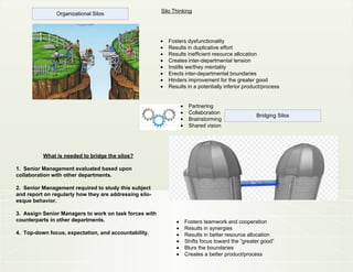 Bridging Organizational Silos | PDF
