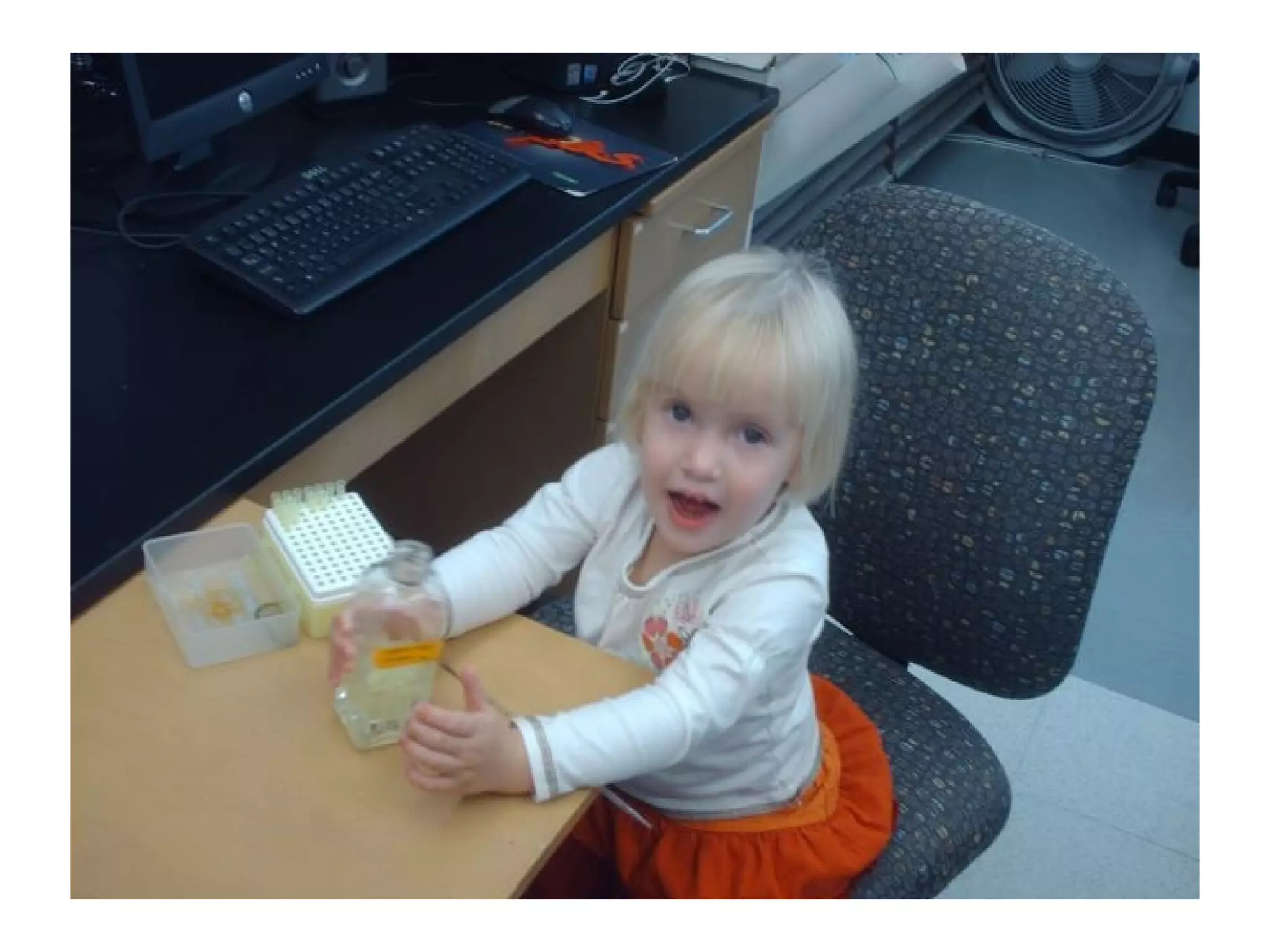 Visit To The Liscum Lab Slideshow | PPT