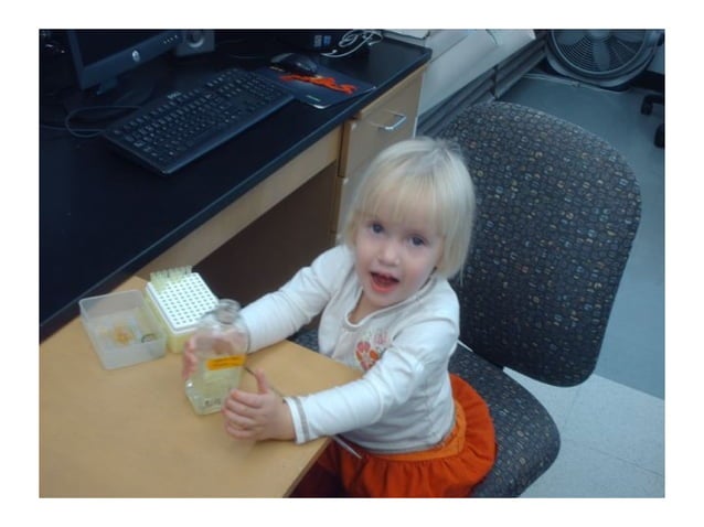 Visit To The Liscum Lab Slideshow | PPT