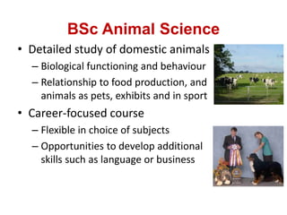 Visit Day Animal Science June 2014 | PPT