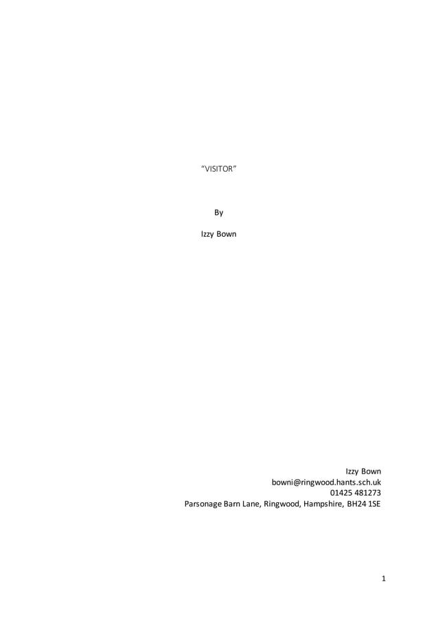 Visitor script | DOCX