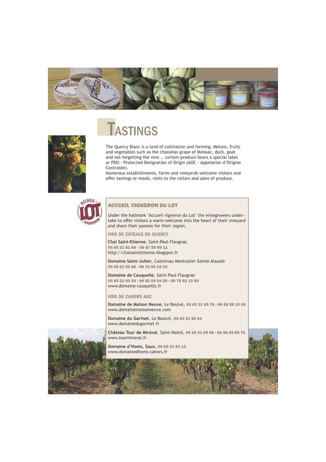 Visitor's guide 2017 | PDF