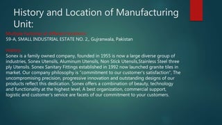 Visit to a company sonex | PPT