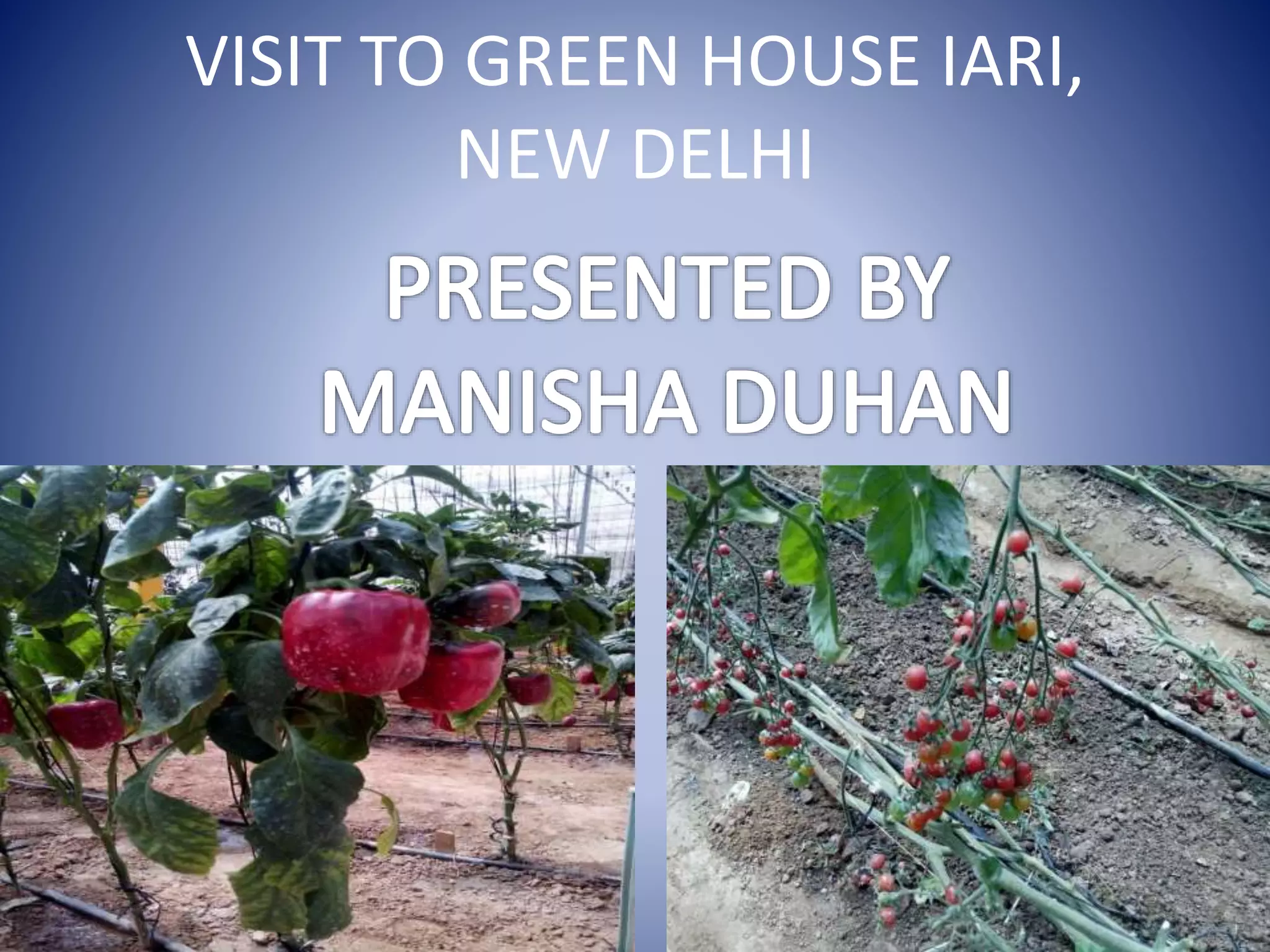 Visit to green house iari, new delhi | PPTX