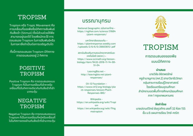 Tropism | PPT