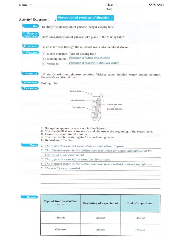 Visking tube report | PDF