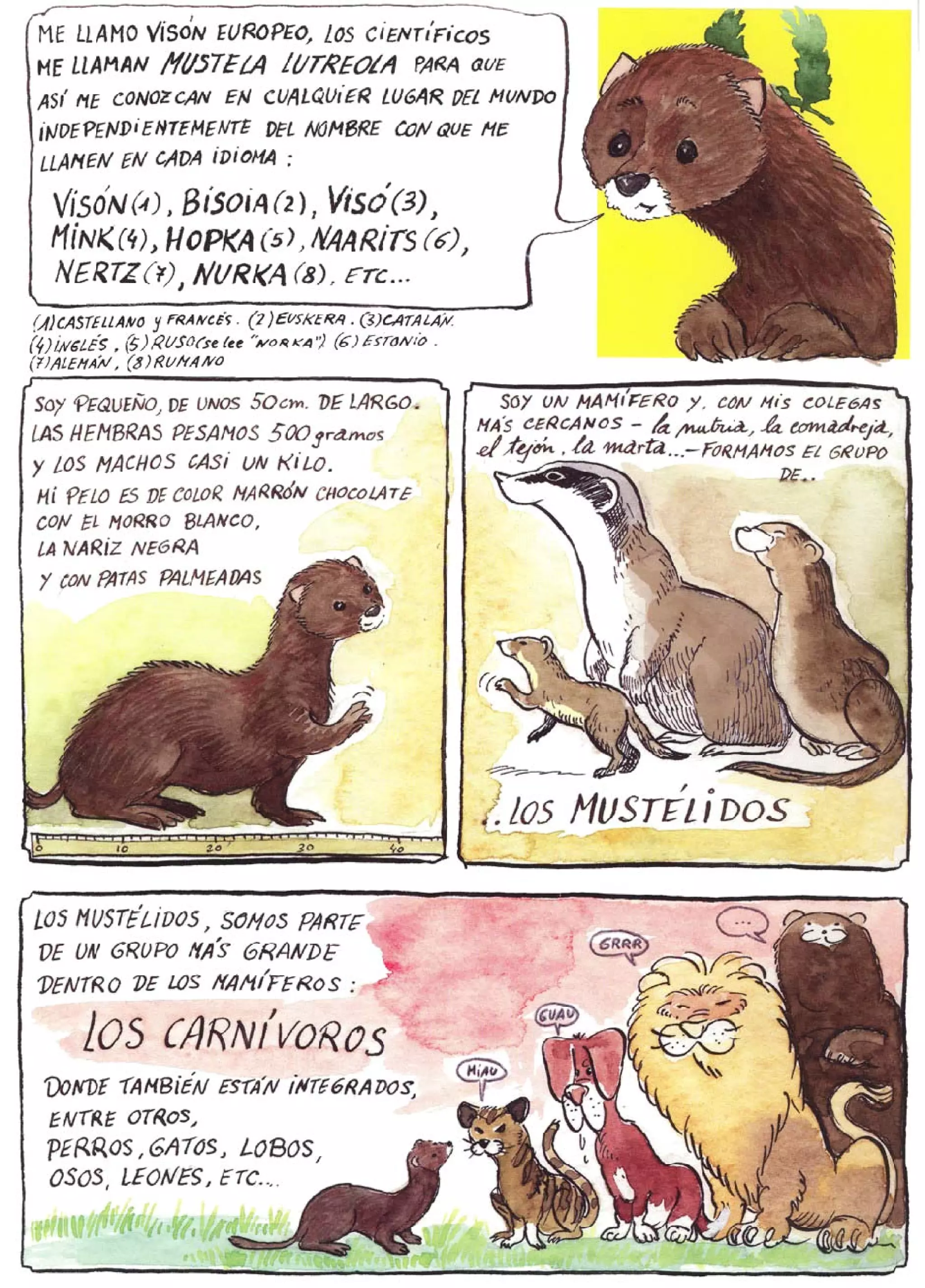 Vison europeo comic | PDF