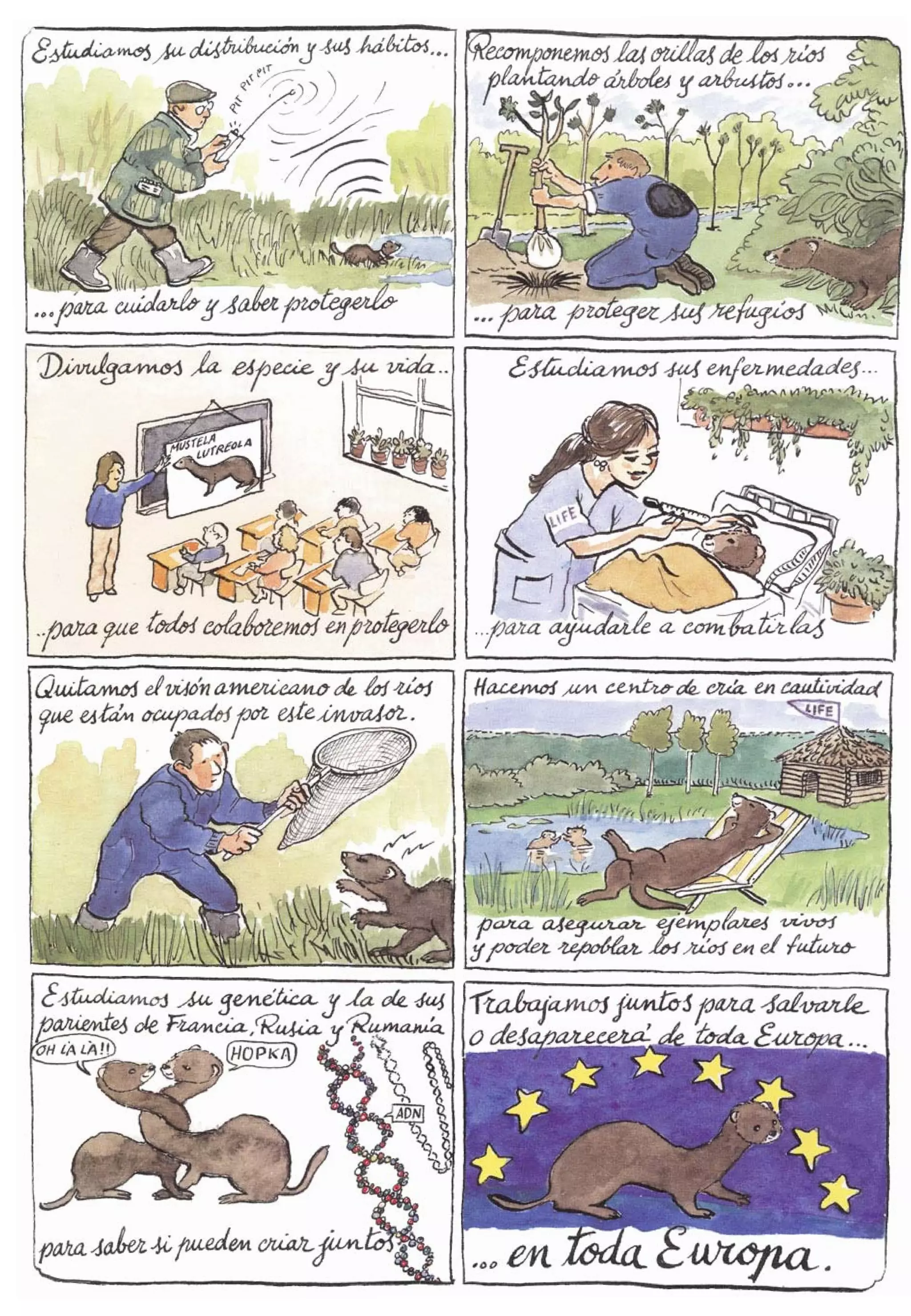 Vison europeo comic | PDF