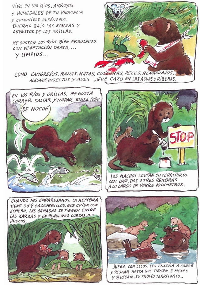 Vison europeo comic | PDF