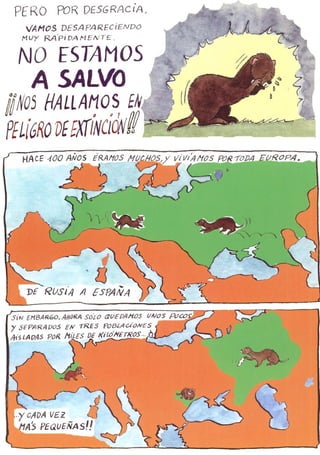 Vison europeo comic | PDF