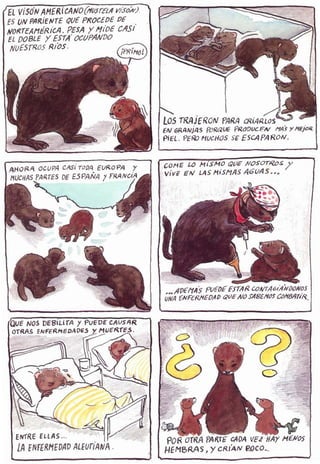 Vison europeo comic | PDF