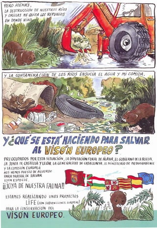 Vison europeo comic | PDF