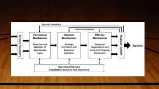 Visual performance evaluation | PPTX