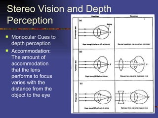 Visstereo | PPT