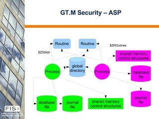 VistA GT.M & Linux Security 062506 | PDF