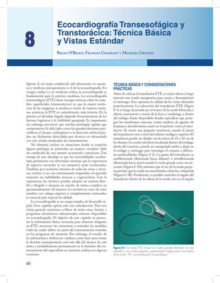 DIMENSIONES ECOCARDIOGRAFIA | PDF