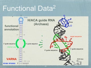 Visualization of RNA 2D Structures - Structure/function relationships ...