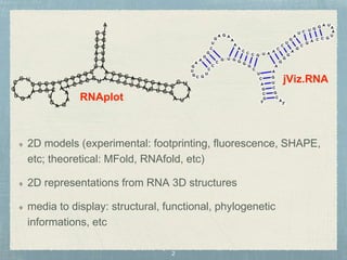 Visualization of RNA 2D Structures - Structure/function relationships ...