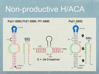 Visualization of RNA 2D Structures - Structure/function relationships ...