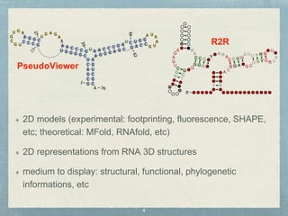 Visualization of RNA 2D Structures - Structure/function relationships of H/ACA motifs: Analysis ...