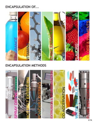 Visual effect-for-personal-care (ENCAPSULATION) | PDF