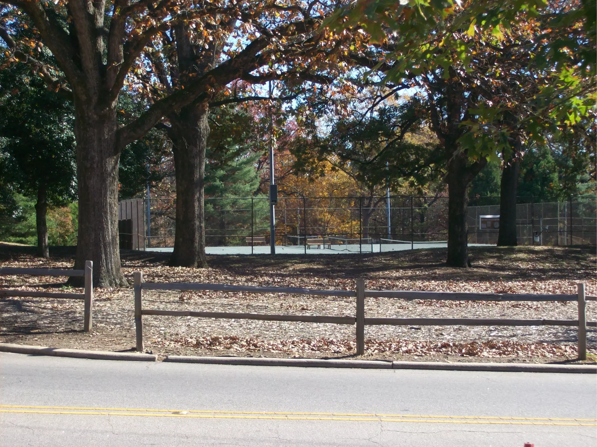 Visual Essay Multiple Intelligences | ODP